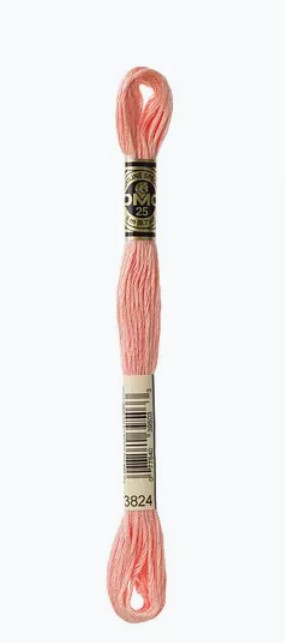 DMC 6 Strand Cotton Embroidery Floss / 3824 LT ApricotEmbroidery Floss ...