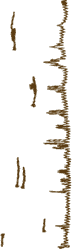 Birch Bark Scroll Edge Embroidery Design by Cactus Punch