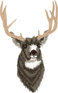 Mule Deer Head Embroidery Design by Cactus Punch