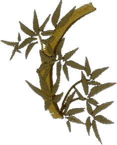 Bamboo Section 1 Embroidery Design by Cactus Punch