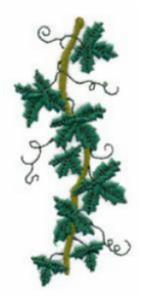 Grape Vine Embroidery Design by Stitchitize