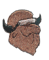 Cool Buffalo Embroidery Design by Dixie Designs